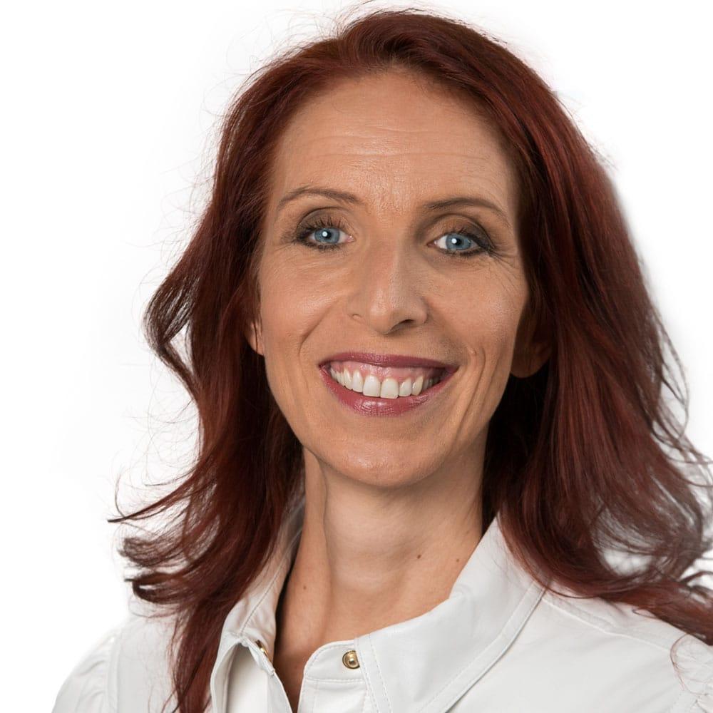 Webinar How To Succeed Taking The Bridge Of Joy Nordic Business Forum